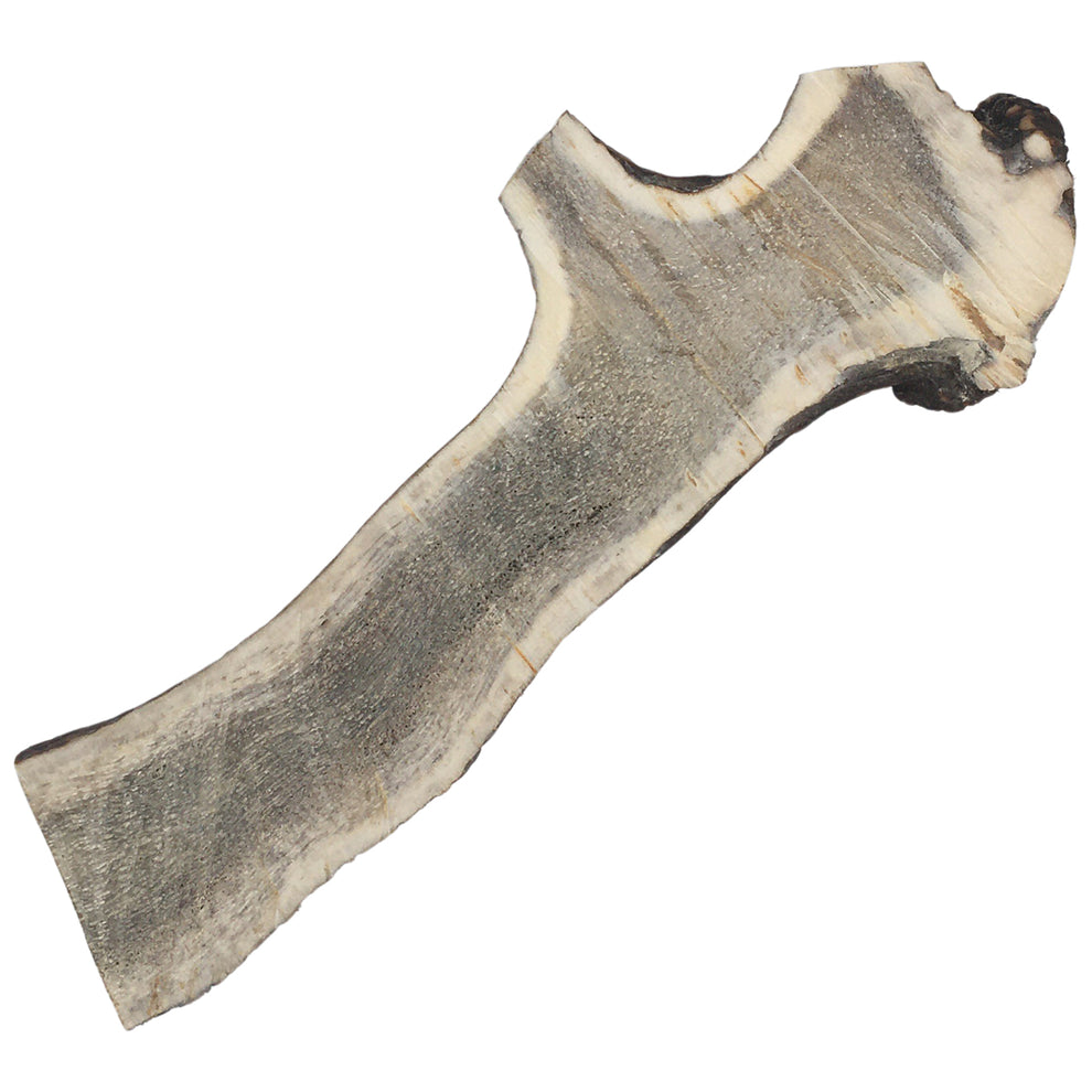 Split Antlers for Dogs – Ace Antlers